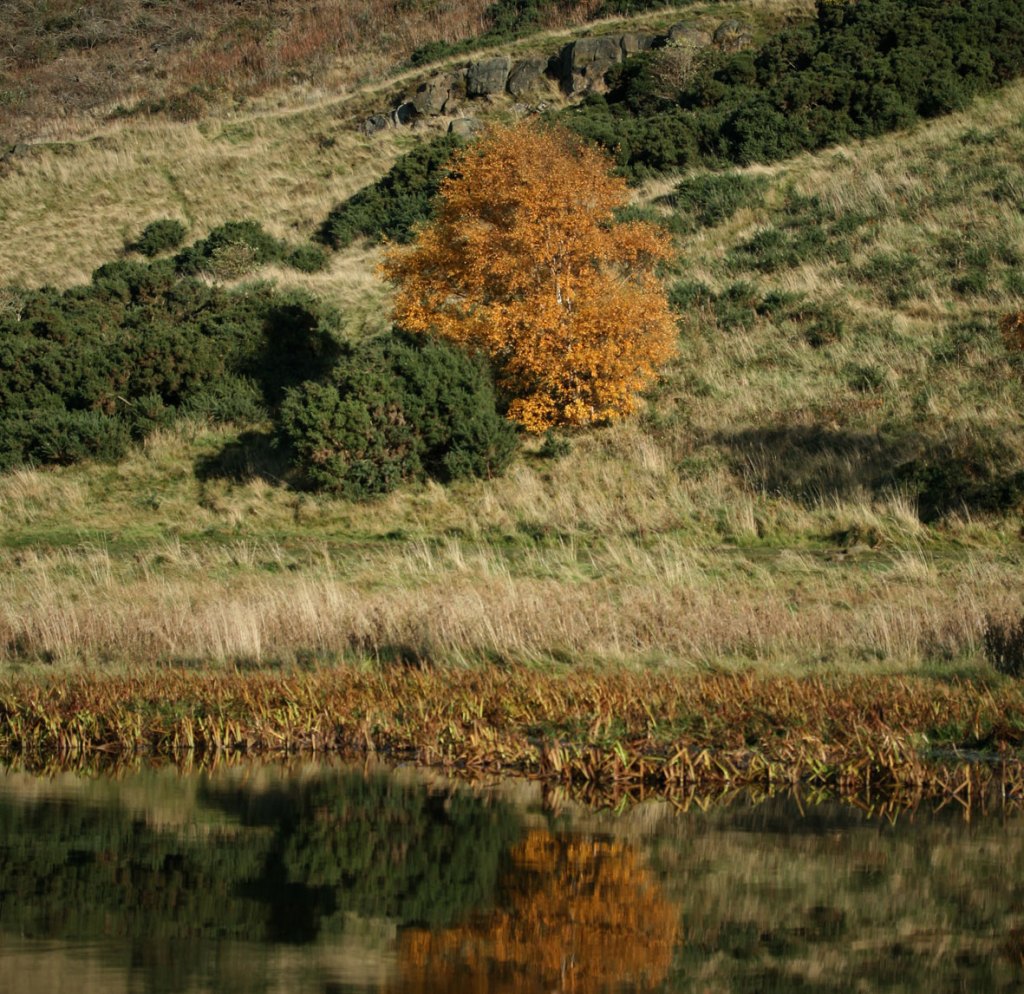 Hunter’s bog – KDD & Co