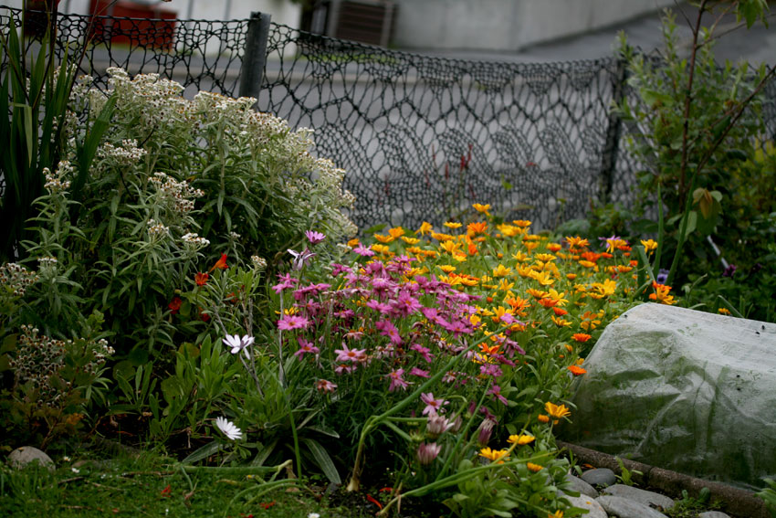 Anne Eunson’s artistry – KDD & Co