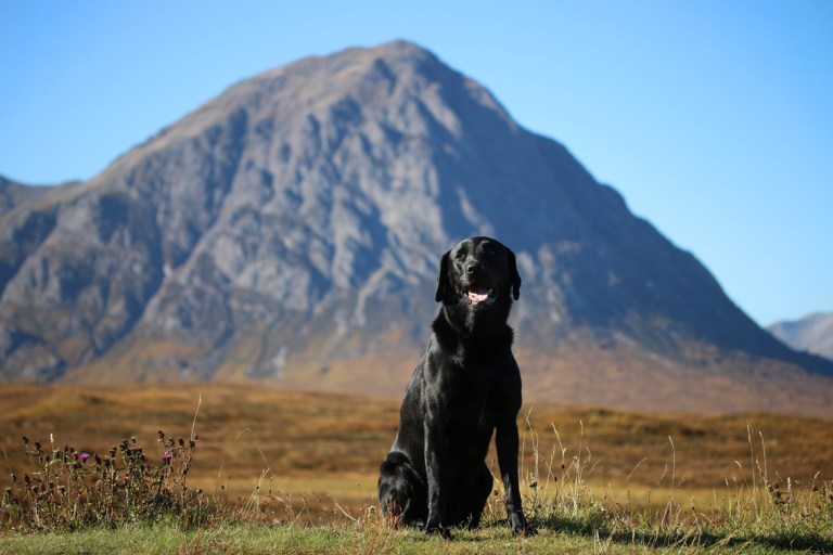 a note for friends of Bruce – KDD & Co