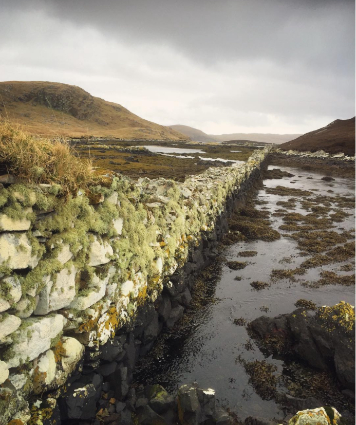 WALL – KDD & Co
