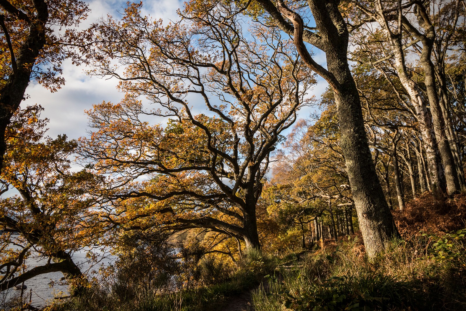 Autumn – KDD & Co