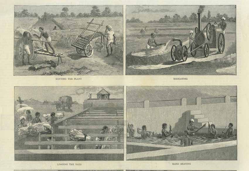 Mood Indigo – KDD & Co