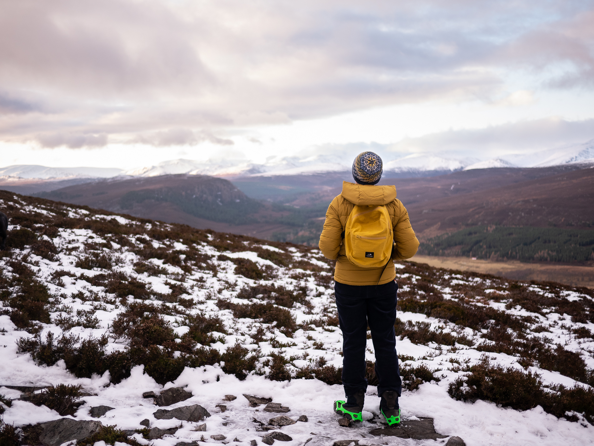 Morrone is out – KDD & Co