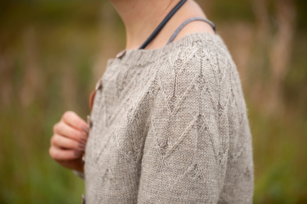 Hirne – KDD & Co
