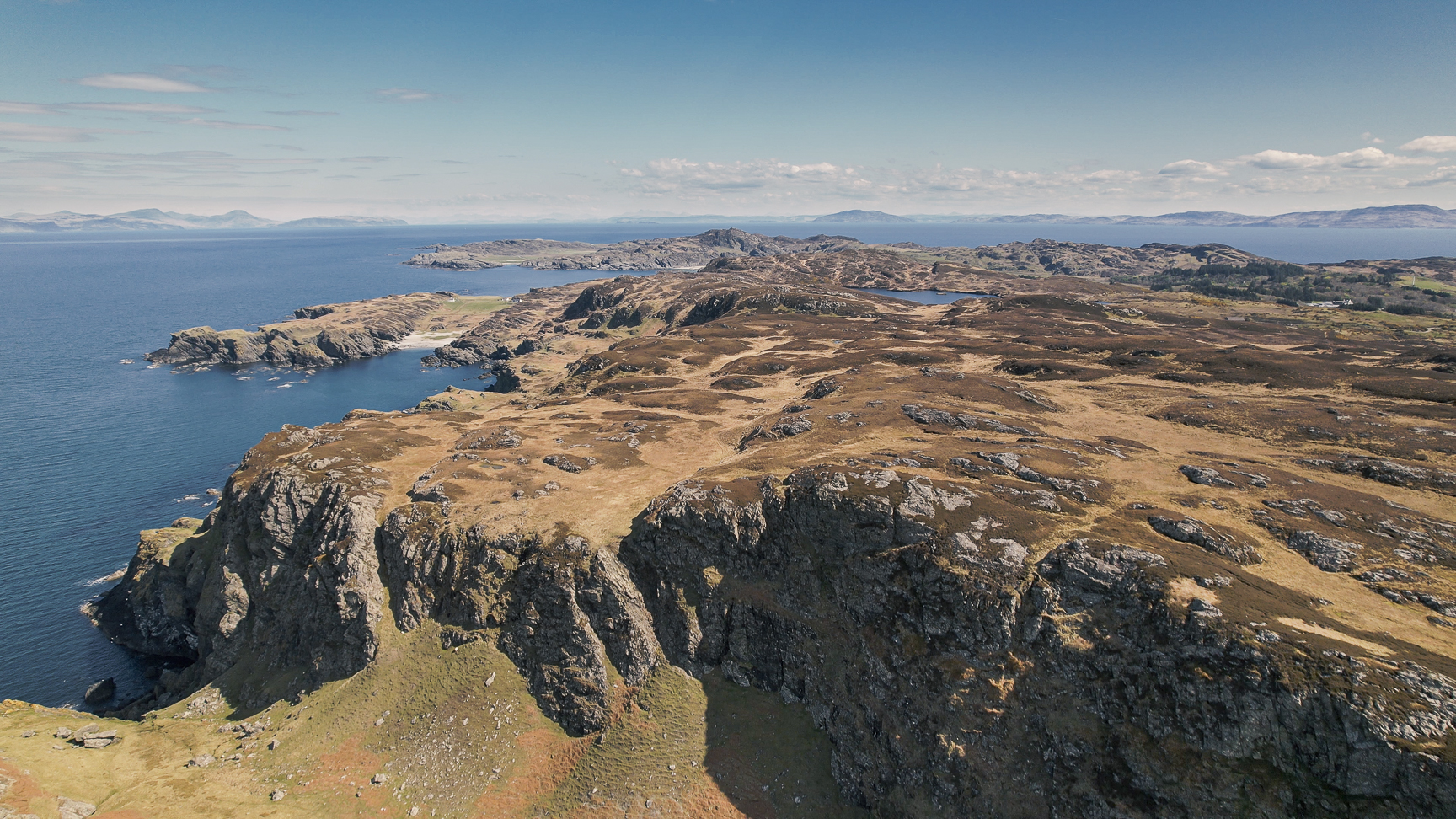 “picnic at Pigs’ Paradise” – KDD & Co