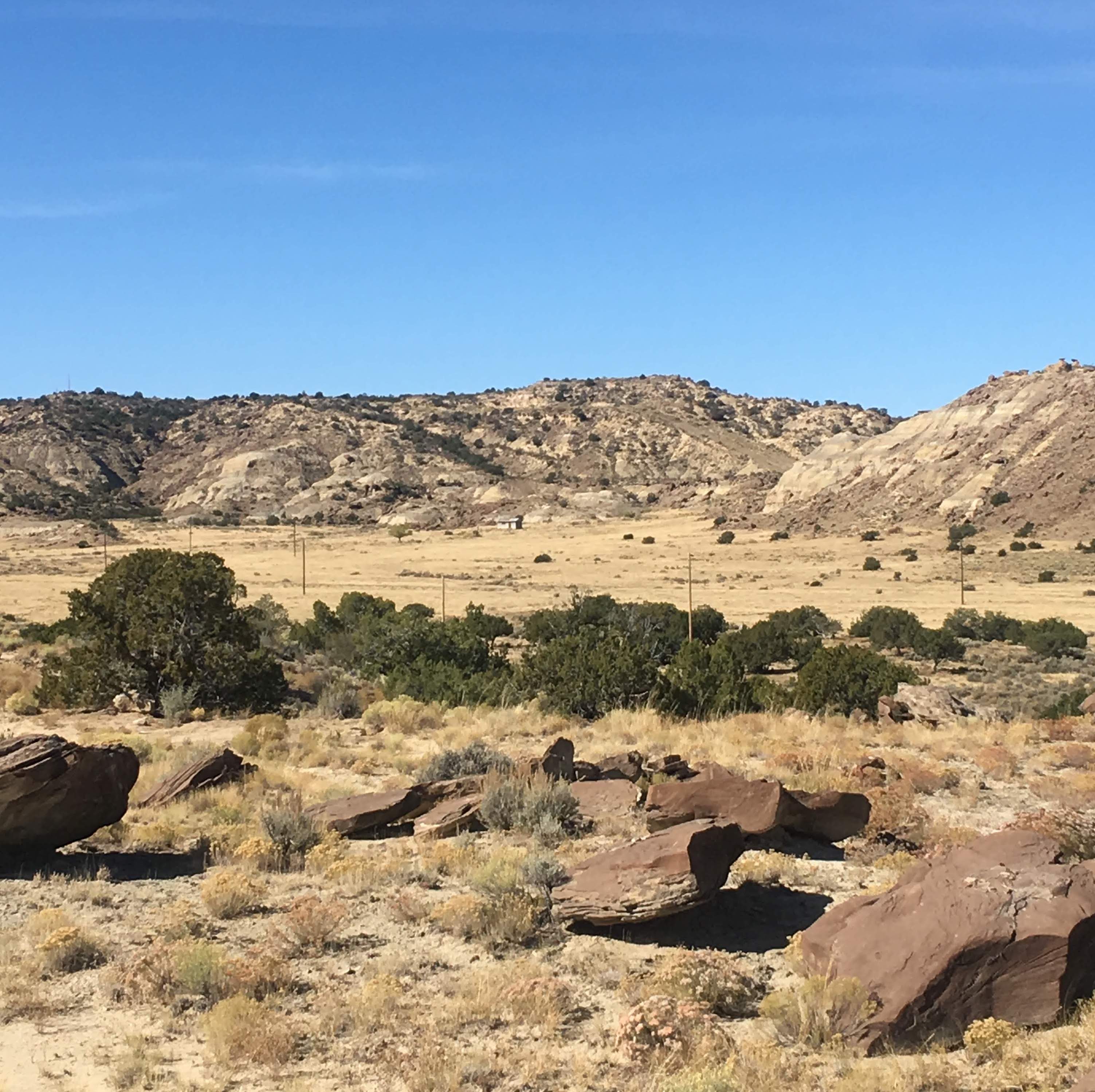 landscape5 – KDD & Co