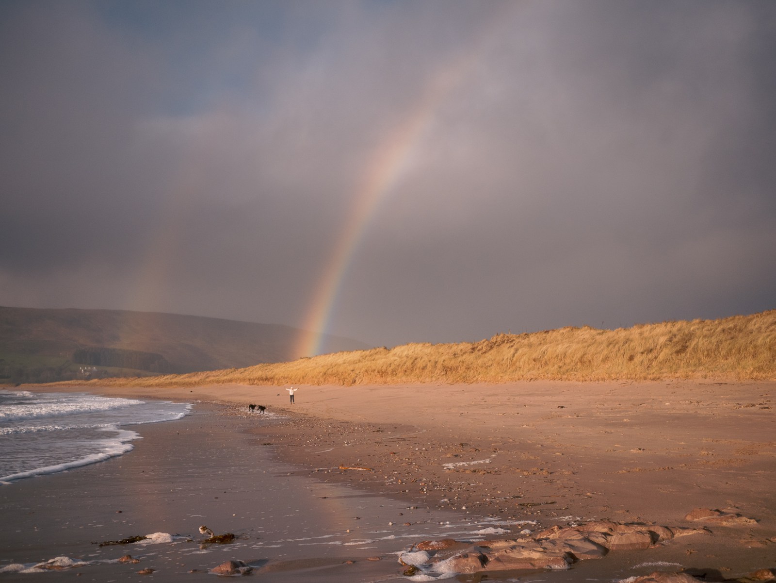 Kate Davies designs – KDD & Co