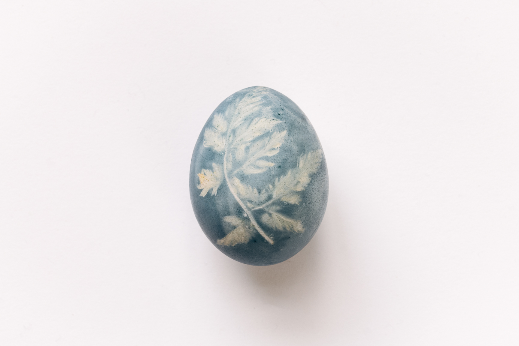 egg-speriment – KDD & Co