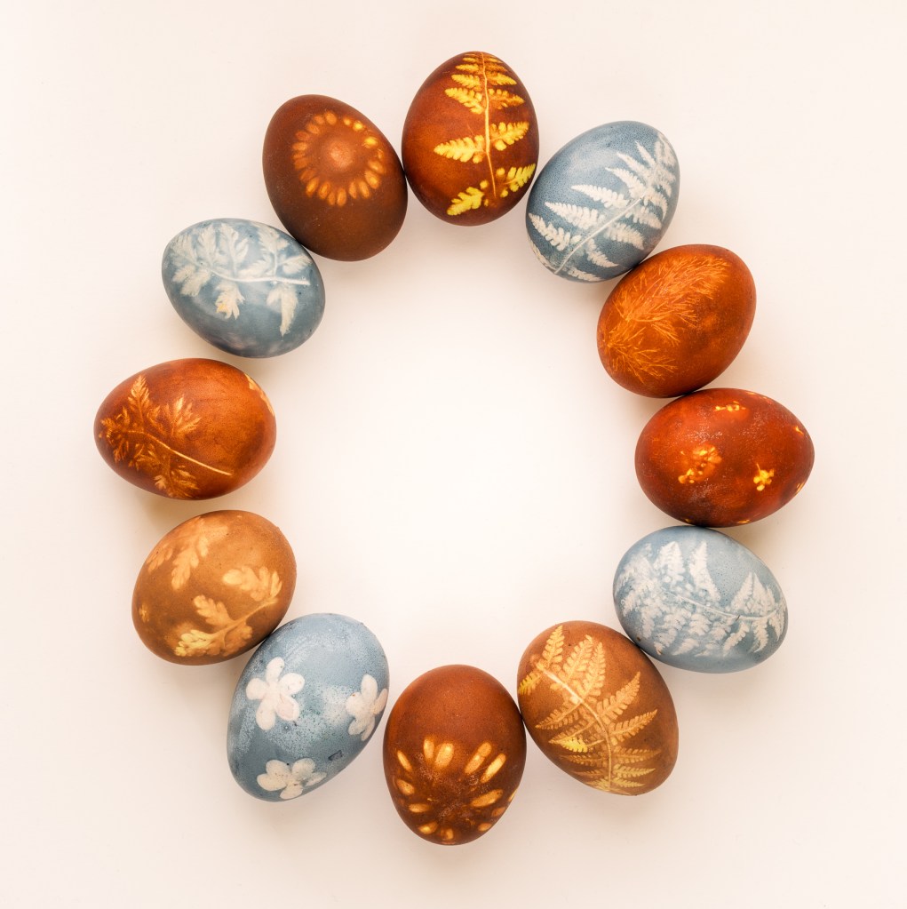 KDD & Co – Award-winning Scottish publishing and design