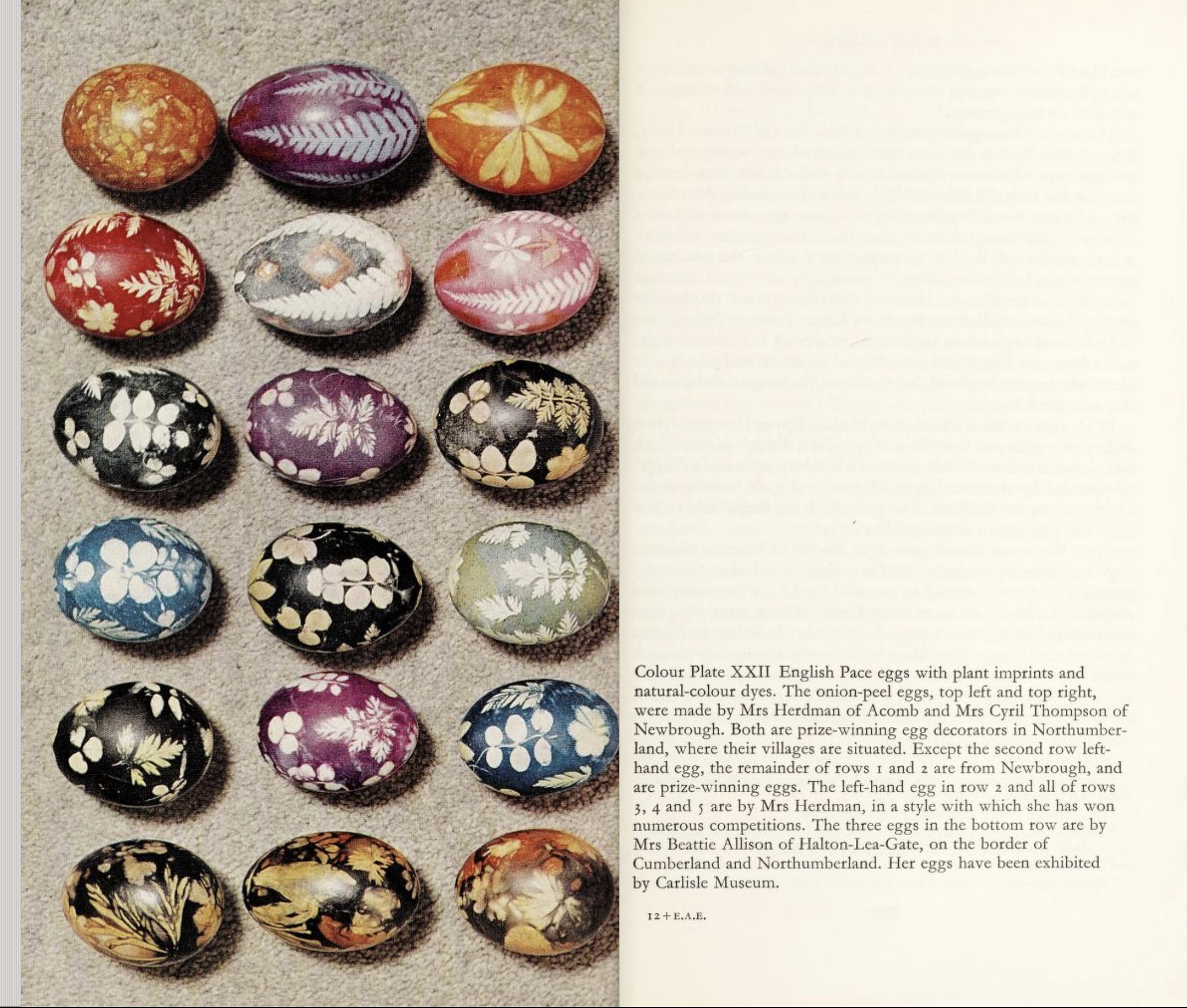 ill – english pace eggs – Kate Davies