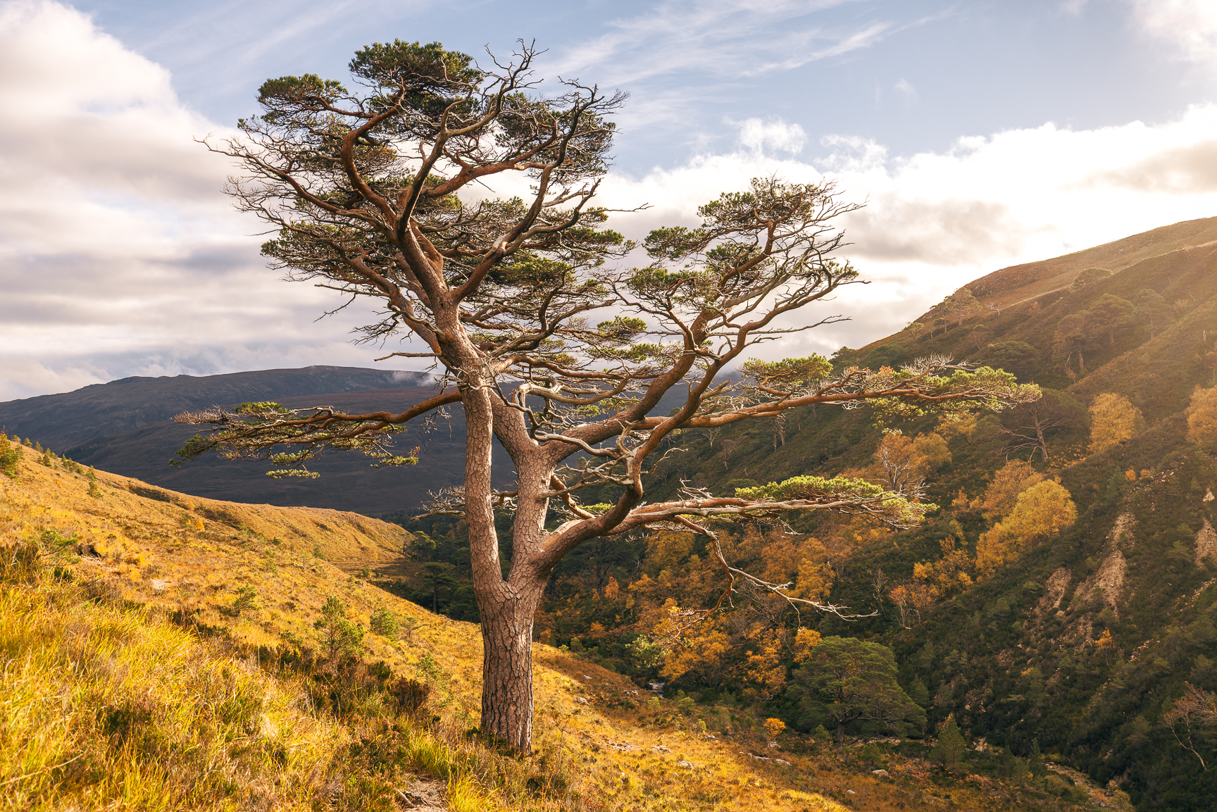 Beinn Eighe Trip 2-387 – KDD & Co