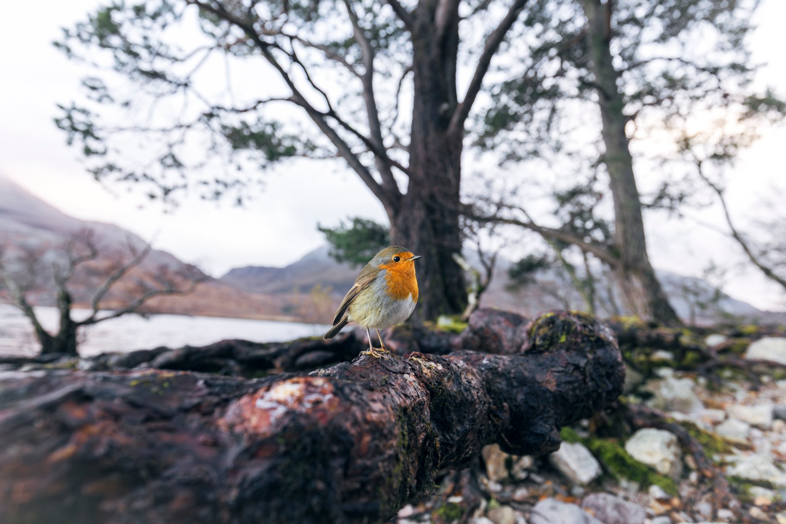 KDD & Co – Award-winning Scottish publishing and design